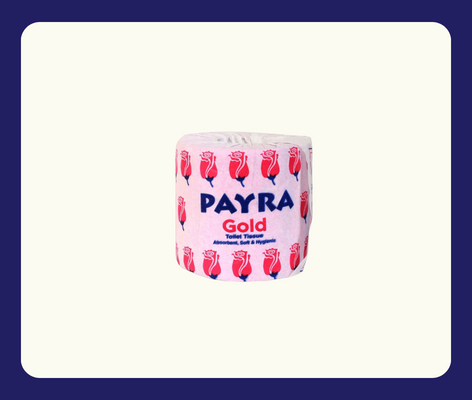 Payra Consumer Limited